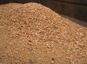 Everything You Need To Know About Wood Wastes