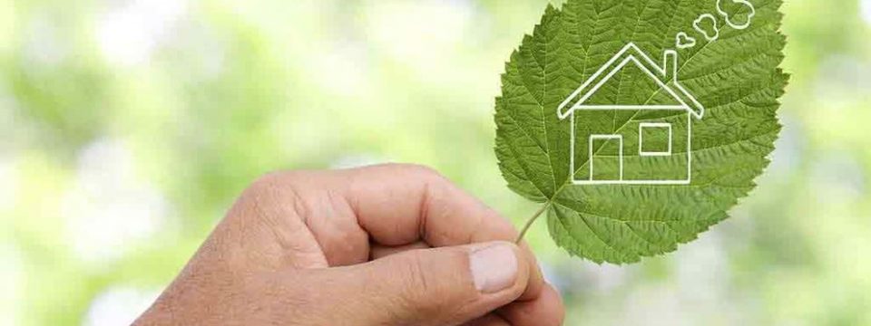 5 Green Money-Saving Tips For One And All