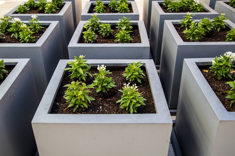 Prostriedky Mn ch Chodba How Does Planter Boxes Work Negat vny Pompeje