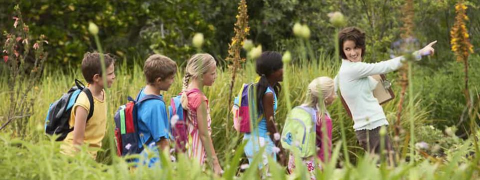 The Concept Of Nature-based Learning