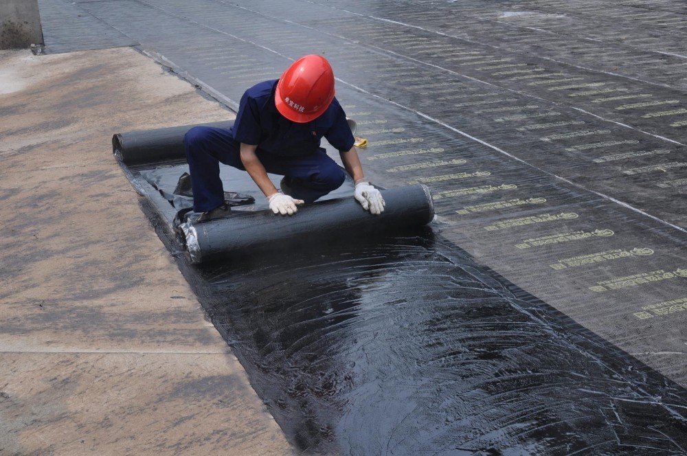 Why Should You Hire A Waterproofing Service