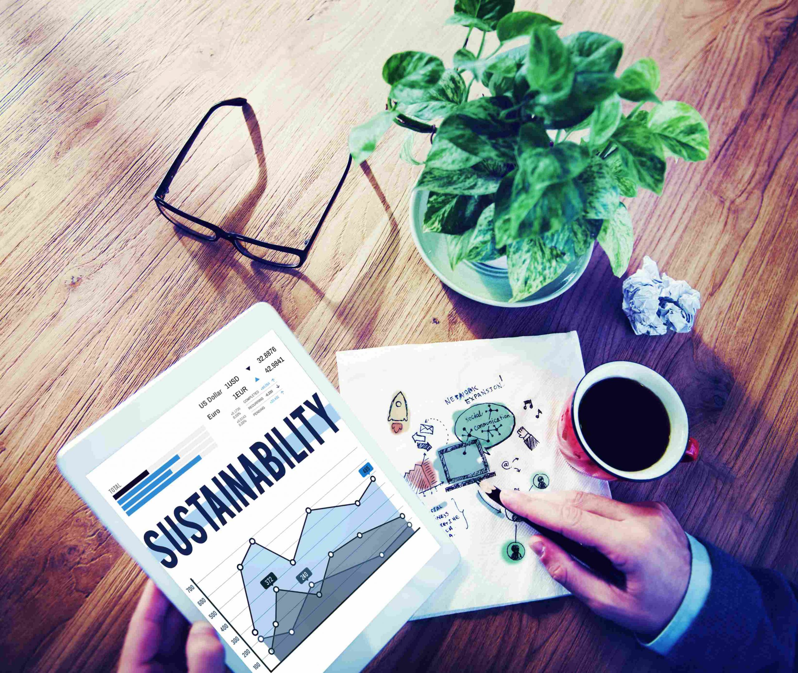 Importance Of Sustainable Practices At The Workplace