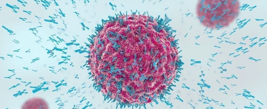 Antibody Screening: What Is It And Why We Do It?